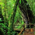 CHIANG MAI: Join Tour One Day Doi Inthanon-Waterfall with Lunch - Transportation & Group Dynamics