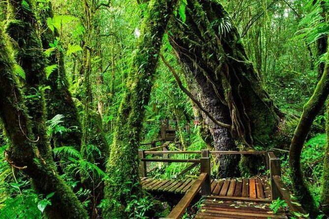 CHIANG MAI: Join Tour One Day Doi Inthanon-Waterfall with Lunch - Transportation & Group Dynamics