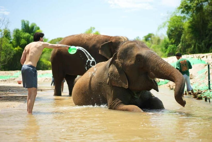 Chiang Mai: Jungle Jumbo Elephant Sanctuary with Waterfall - The Value Proposition