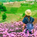 Chiang Mai Mon Jam Highlands and Pongyang Full-Day Private Tour - Practical Insights and Value