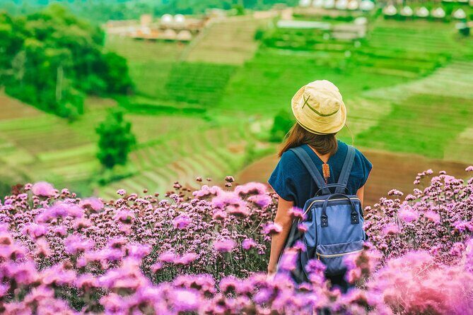 Chiang Mai Mon Jam Highlands and Pongyang Full-Day Private Tour - Practical Insights and Value