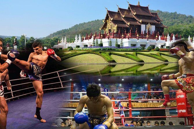 Chiang Mai Muay Thai Boxing Live at Thapae Stadium - Is It Worth the Price?