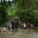 Chiang Mai: National Elephant Care, Rafting, & Ziplines Trip - Why It Works for Travelers
