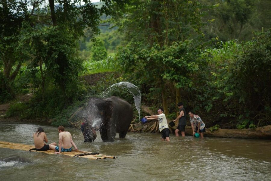 Chiang Mai: National Elephant Care, Rafting, & Ziplines Trip - Why It Works for Travelers