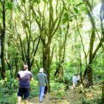 Chiang Mai: Pha Dok Siew Nature Trail & Doi Inthanon Trip - Analyzing the Tour’s Value