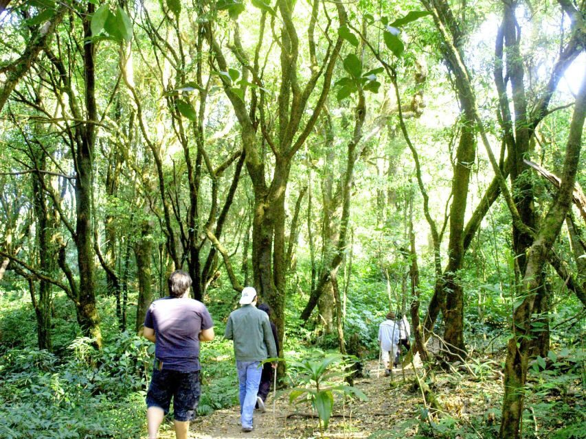 Chiang Mai: Pha Dok Siew Nature Trail & Doi Inthanon Trip - Analyzing the Tour’s Value
