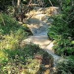 Chiang Mai: Sticky Waterfall Half day tour - Why This Tour Offers Good Value