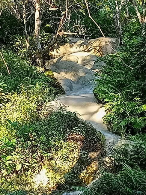 Chiang Mai: Sticky Waterfall Half day tour - Why This Tour Offers Good Value