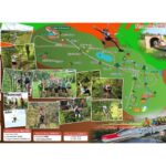 Chiang Mai: Zipline adventure with lunch & city hotel pickup - Ziplining through the Canopy