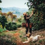 Chiang Rai Walking Tour: Golden Triangle & Doi Tung - Practical Details & What to Expect