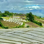 Chiangmai : Doi Inthanon unseen spot , Rice terrace & temple - An In-Depth Look at the Itinerary