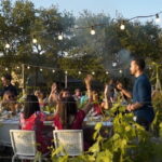 Chianti vineyards: Small-Group tour with wine tasting & Dinner - Final Thoughts: Who Should Book This Tour?