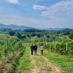 Chianti Wine Tasting Tour from Florence (2 Wineries) - The Route and Stops: A Deep Dive