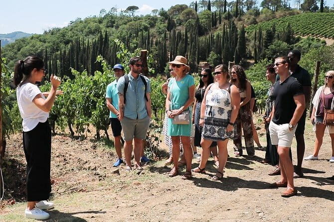 Chianti Wine Tour from Florence - An In-Depth Look at the Chianti Wine Tour