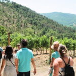 Chianti Wine Tour: Two Wine Tastings, Vineyards and Cellar Visit - Who Will Love This Tour?