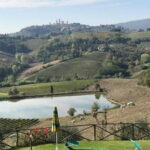 Chianti Wineries Tour with Tuscan Lunch and San Gimignano - Downside to Consider