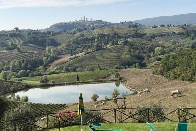 Chianti Wineries Tour with Tuscan Lunch and San Gimignano - Downside to Consider