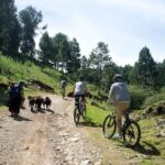 Chiapas Indigenous Villages and Mountain Bike Tour - What Makes This Tour Stand Out?