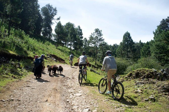 Chiapas Indigenous Villages and Mountain Bike Tour - What Makes This Tour Stand Out?