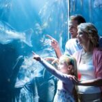 Chicago: 1-5 Day Attraction Pass with Shedd Aquarium - Itinerary Breakdown: What Are the Highlights?