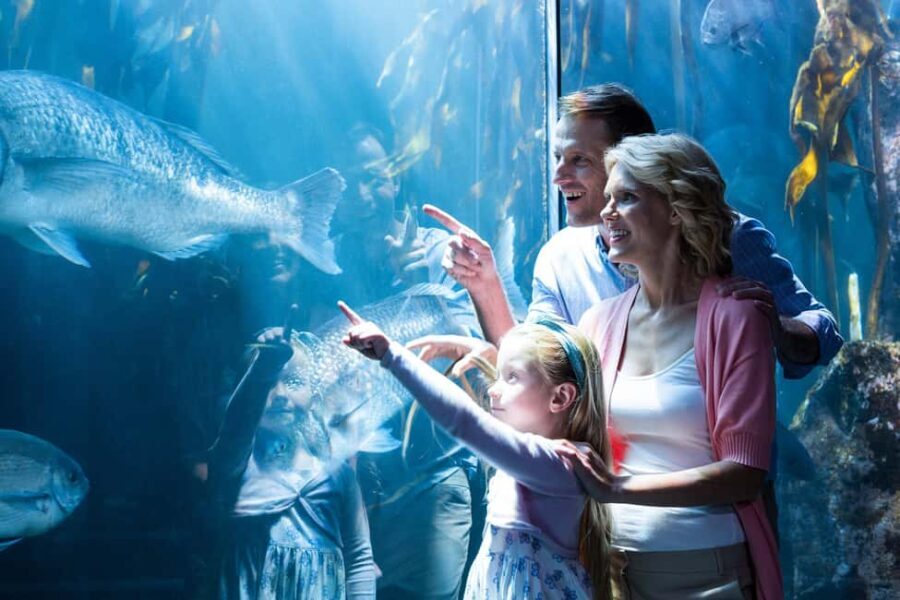 Chicago: 1-5 Day Attraction Pass with Shedd Aquarium - Itinerary Breakdown: What Are the Highlights?