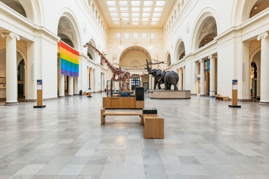 Chicago: Field Museum of Natural History Ticket or VIP Tour - A Closer Look at the Museum Itself