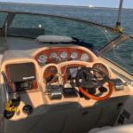 Chicago Private Boat Day - Sunset, Skyline & Celebration - Why Consider This Tour?