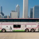 Chicago: Tea Around Town With Curated Teas & Iconic Sights - The Route and Landmarks