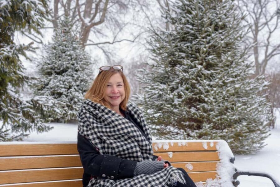 Chicagos Festive Lights: Private Magical Christmas Journey - Who Should Consider This Tour?