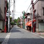 Chichibu Mitsumine Shrine and Nagatoro 1 day private tour - Who Will Love This Tour?