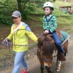 Children Mini Horse Rides - A Balanced Look at the Experience
