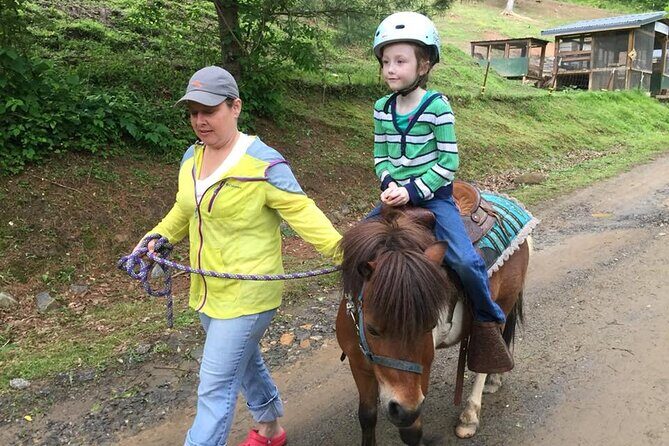 Children Mini Horse Rides - A Balanced Look at the Experience