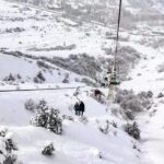 Chimgan Mountains & Amirsay Resort from Tashkent - Who Should Take This Tour?