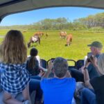 Chincoteague: Premier Pony & Wildlife Small Group Boat Tour - Why This Tour Offers Real Value