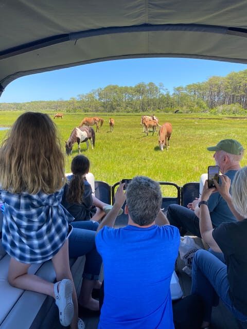 Chincoteague: Premier Pony & Wildlife Small Group Boat Tour - Why This Tour Offers Real Value