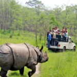 Chitwan: 1-Night Jungle Safari with Transfers from Kathmandu - The Valleys and Forests of Chitwan: Why It Matters