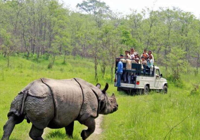 Chitwan: 1-Night Jungle Safari with Transfers from Kathmandu - The Valleys and Forests of Chitwan: Why It Matters