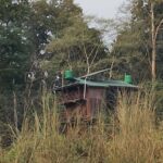 Chitwan: jungle One Night Towerstay in chitwan national park - How Is the Itinerary Structured?