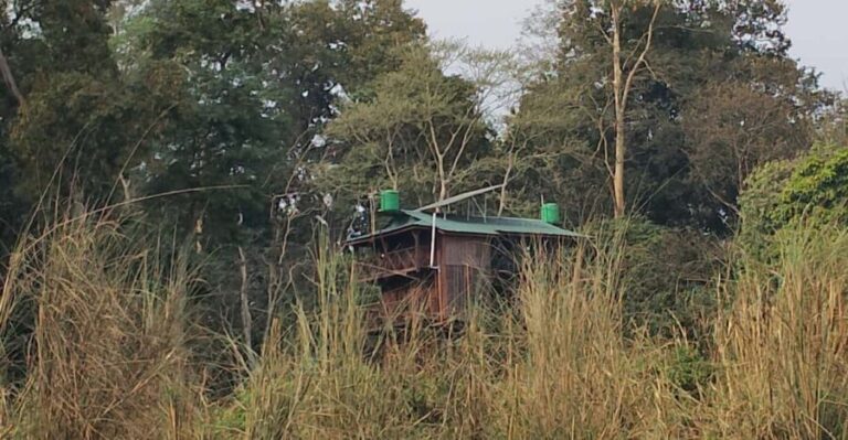 Chitwan: jungle One Night Towerstay in chitwan national park - How Is the Itinerary Structured?