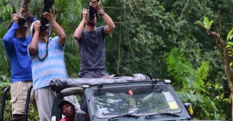 Chitwan Jungle safari 2 Nights 3 Days from Kathmandu - What Travelers Can Expect: The Realities