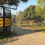 Chitwan Jungle Safari Tour - Practical Tips for Making the Most of Your Safari