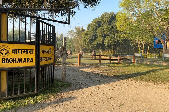 Chitwan Jungle Safari Tour - Practical Tips for Making the Most of Your Safari