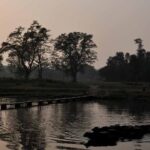 Chitwan National Park Jungle Safari Tours 3 days - Who Should Consider This Tour?