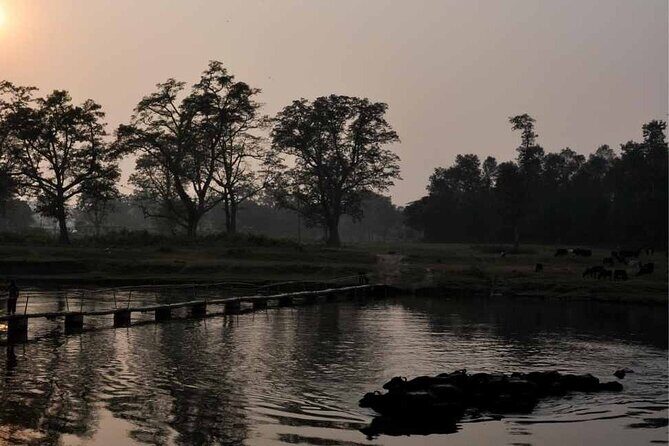 Chitwan National Park Jungle Safari Tours 3 days - Who Should Consider This Tour?