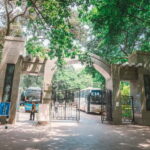 Chongqing ELing Hill 3.5-Hour City Walk - What to Expect from the Tour