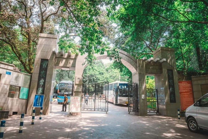 Chongqing ELing Hill 3.5-Hour City Walk - What to Expect from the Tour