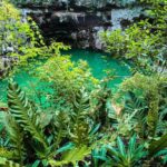 Choose your experience to live in Los 7 Cenotes San Gerónimo - Why This Tour Delivers Great Value