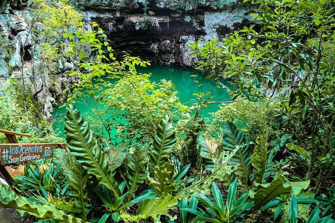 Choose your experience to live in Los 7 Cenotes San Gerónimo - Why This Tour Delivers Great Value