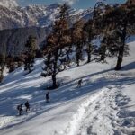 Chopta Trek - Authentic Experiences and Highlights