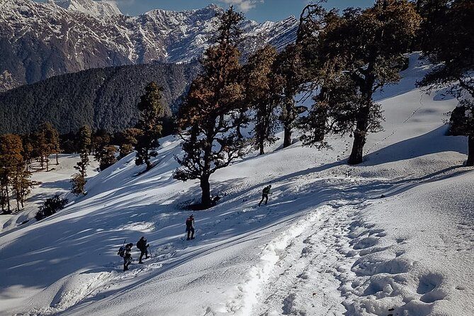 Chopta Trek - Authentic Experiences and Highlights
